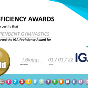 Proficiency Award Level Gold [Pack of 10] - IGA UK